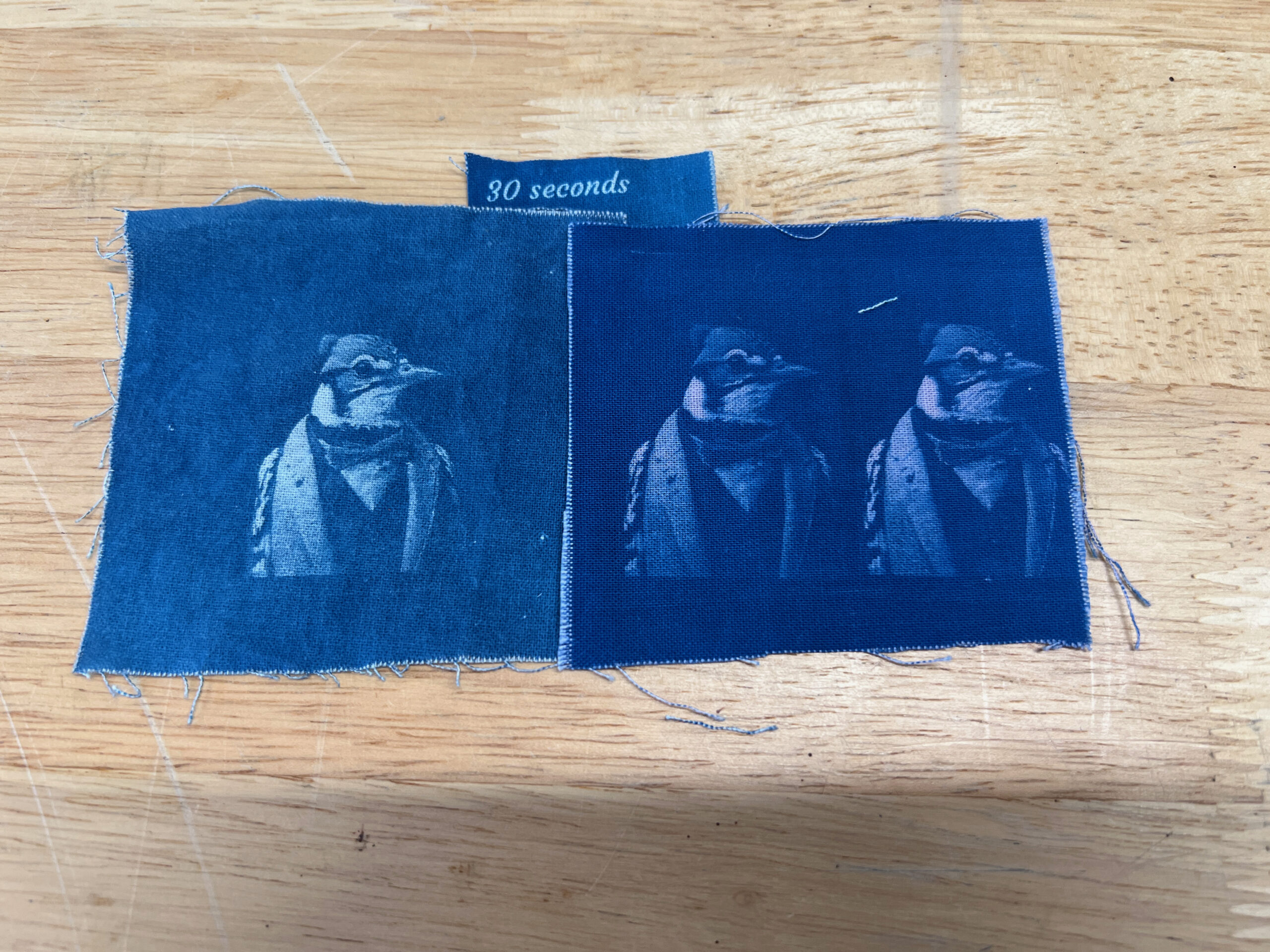 Cyanotype and Metal Clay Keepsake Pendant - Craftcast