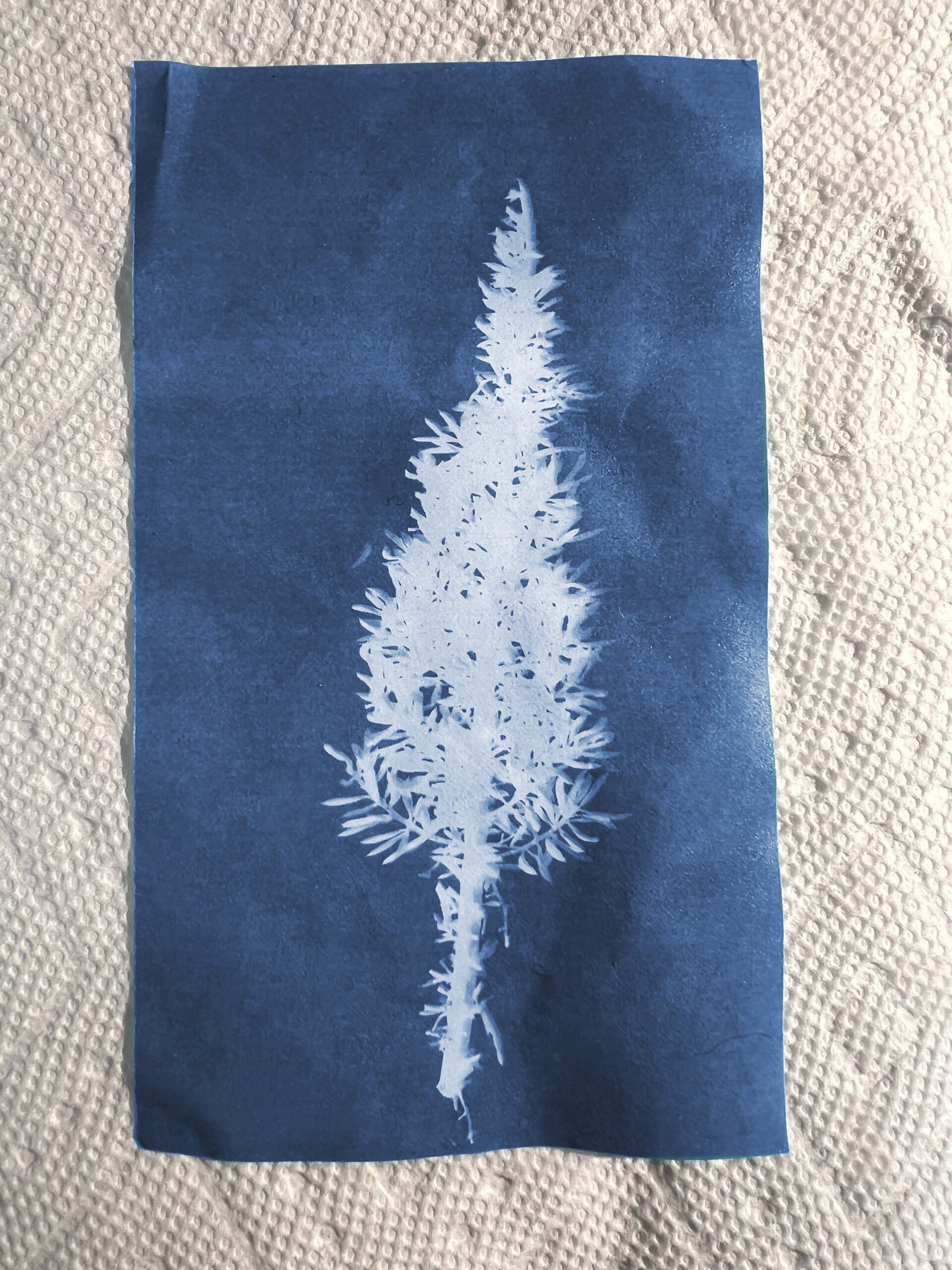 Cyanotype and Metal Clay Keepsake Pendant - Craftcast